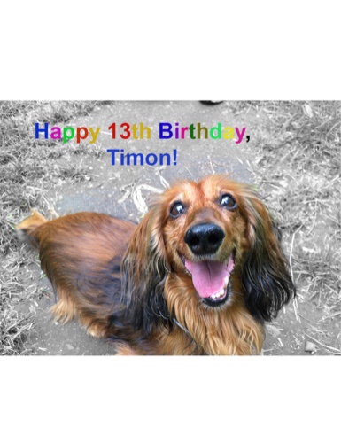Happy Birthday, Timon! - Renate Döring